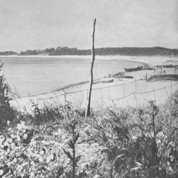 DRUMM, KEVIN - Battering Rams – fusetron